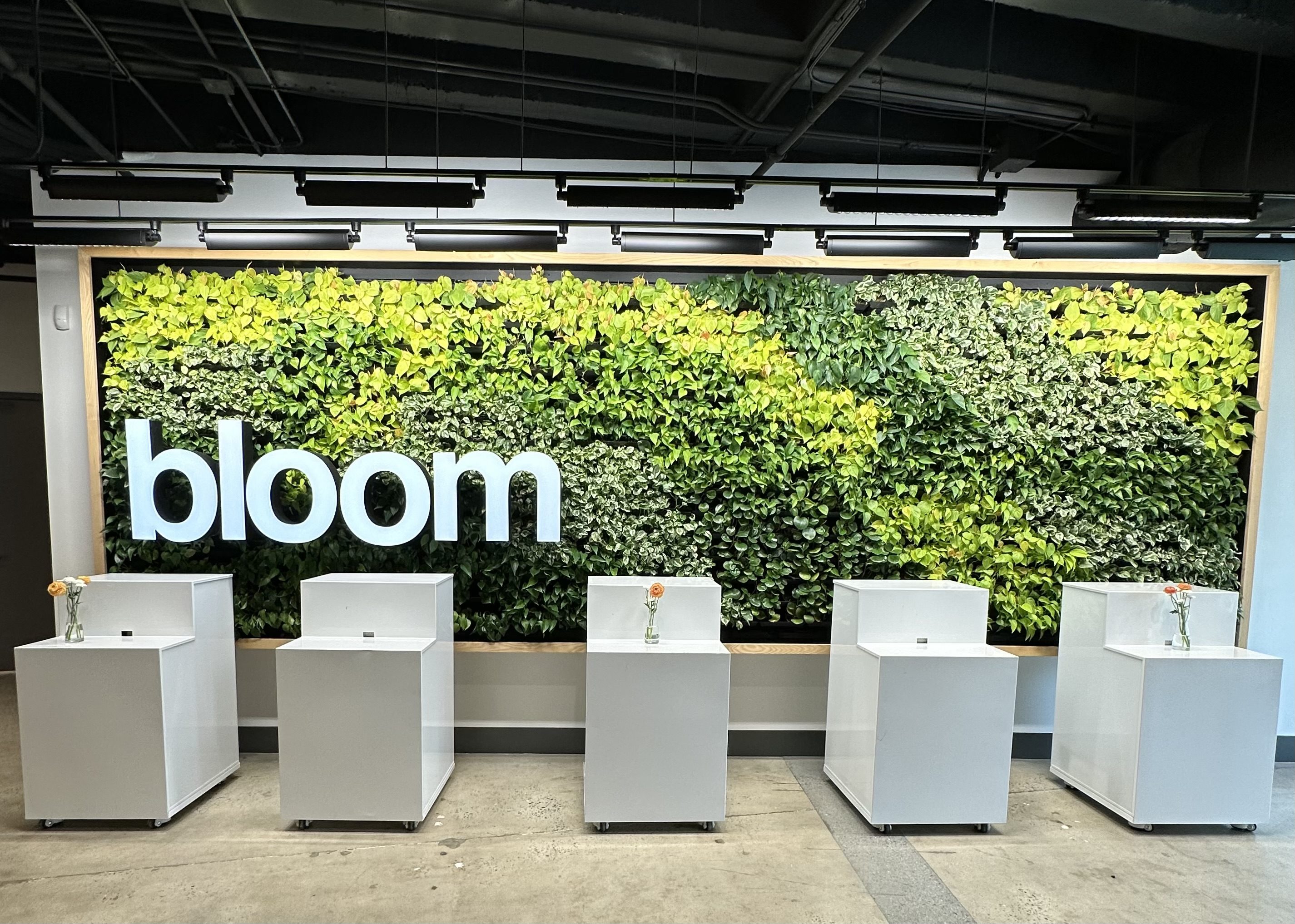 Professional Green Wall Services | Budget, Design, Install, and Maintenance