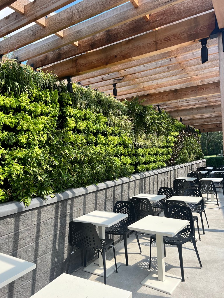 Professional Green Wall Services | Budget, Design, Install, and Maintenance