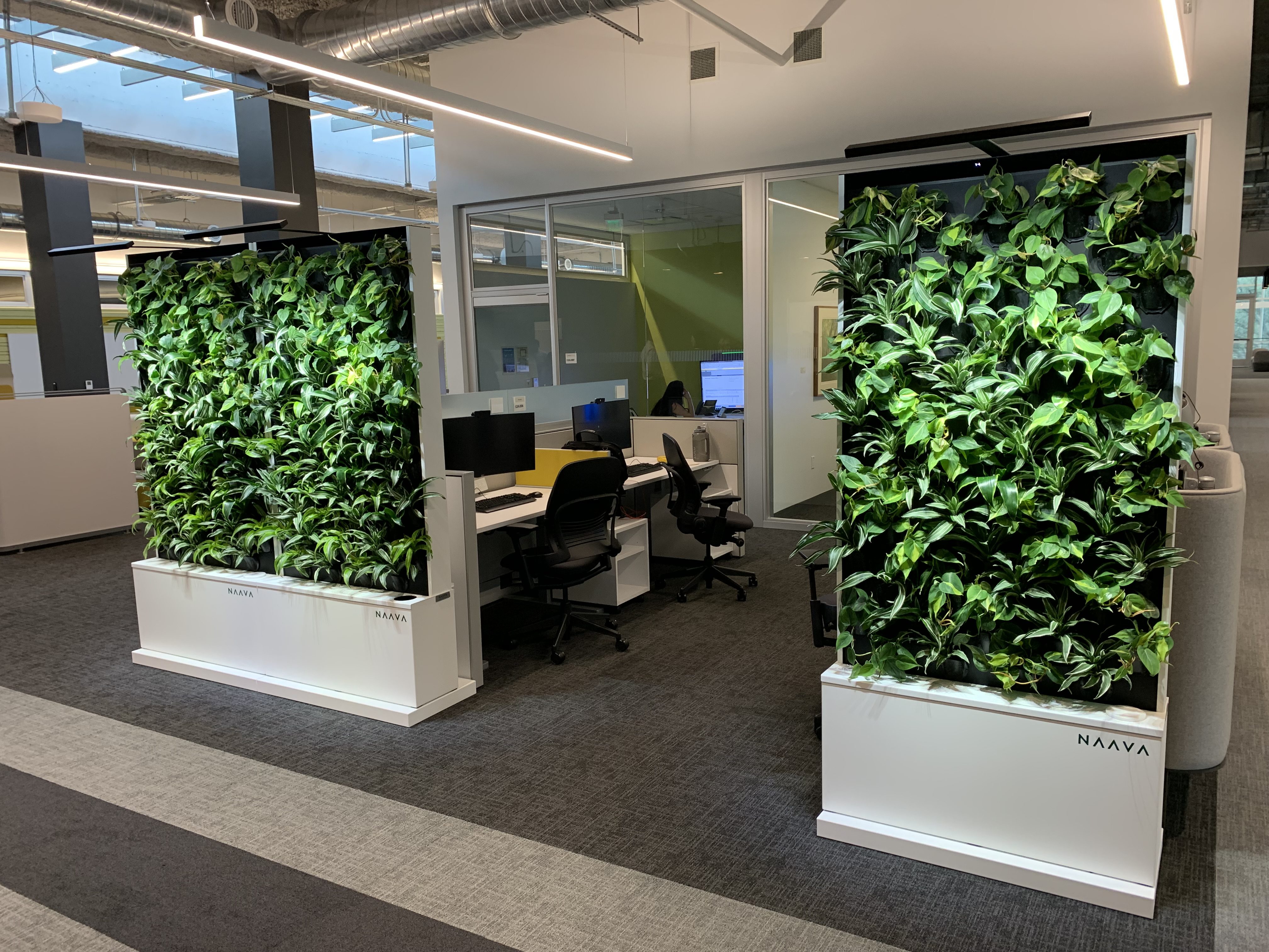 Professional Green Wall Services | Budget, Design, Install, and Maintenance
