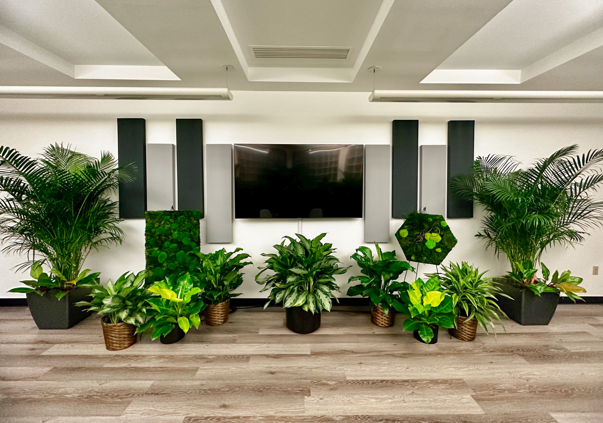 Short Term Event Plant Rentals | Foliage Design Systems