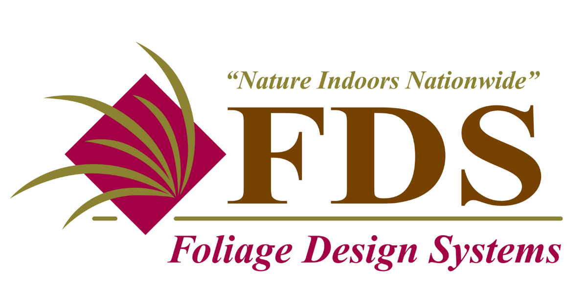 Colorful Plants For Offices | Foliage Design Systems